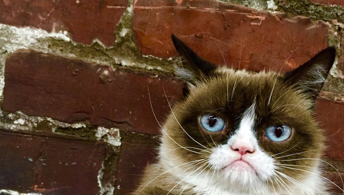 July Musings…and in comes the August Long! – Jst4lafs – From My ...